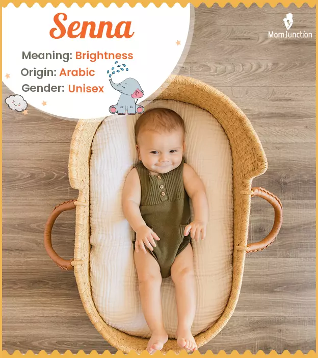 Senna Name, Origin, Meaning, And History