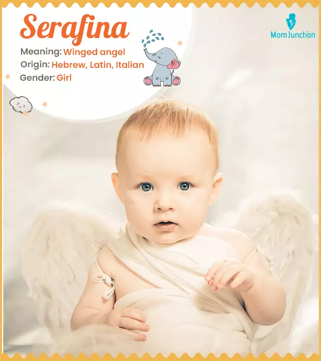 Serafina Name Meaning & History: Variants & Popularity