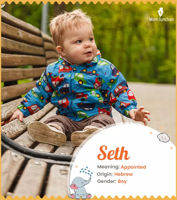 Seth Name, Meaning, Origin, History, And Popularity