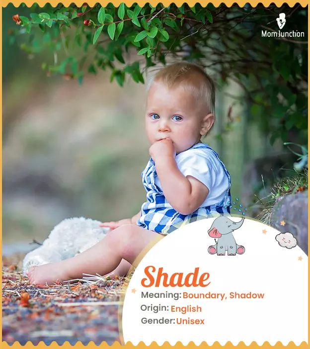 Explore Shade: Meaning, Origin & Popularity