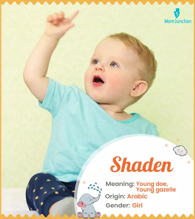Shaden Name Meaning, Origin, History, And Popularity