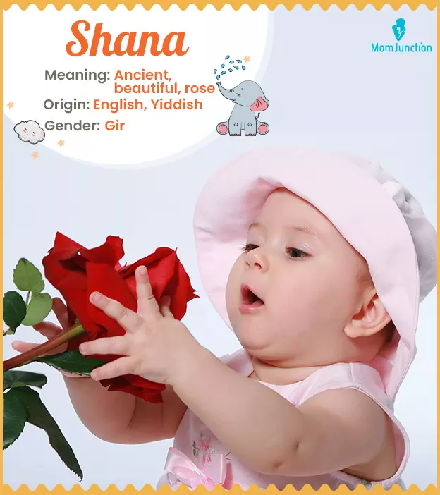 Shana Name Meaning, Origin, History, And Popularity