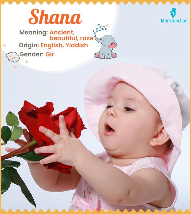 Shana Name Meaning Origin History And Popularity MomJunction Shana Name Meaning Origin History And Popularity MomJunction