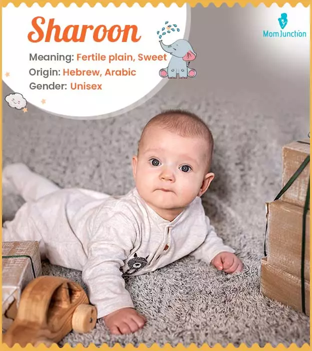 Sharoon Name, Meaning, Origin, History, And Popularity