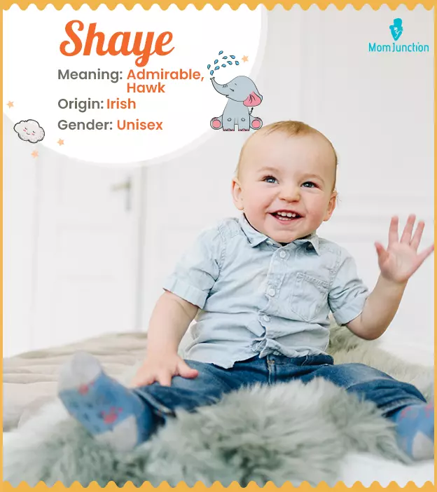 Explore Shaye Name Meaning And Origin: A Complete Guide: Meaning ...