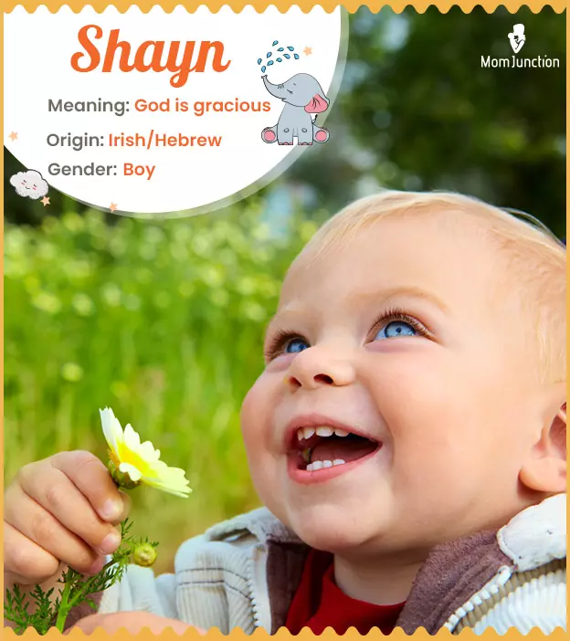 Explore Shayn: Meaning, Origin & Popularity