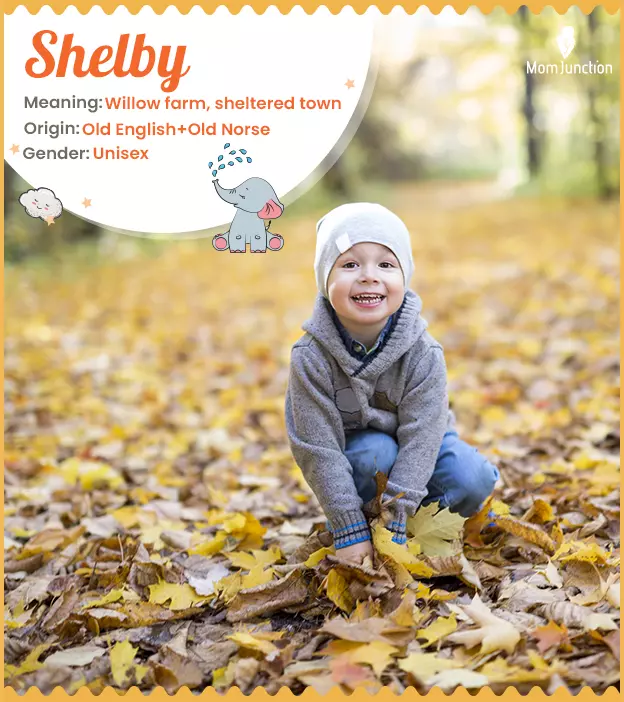 Shelby Name Meaning, Origin, History, And Popularity