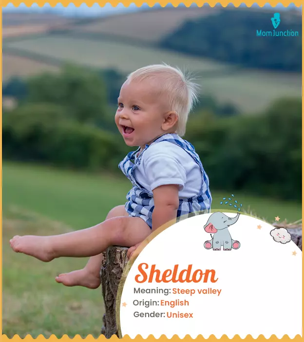 Explore Sheldon Name: Complete Guide To Origin, Meaning & History ...