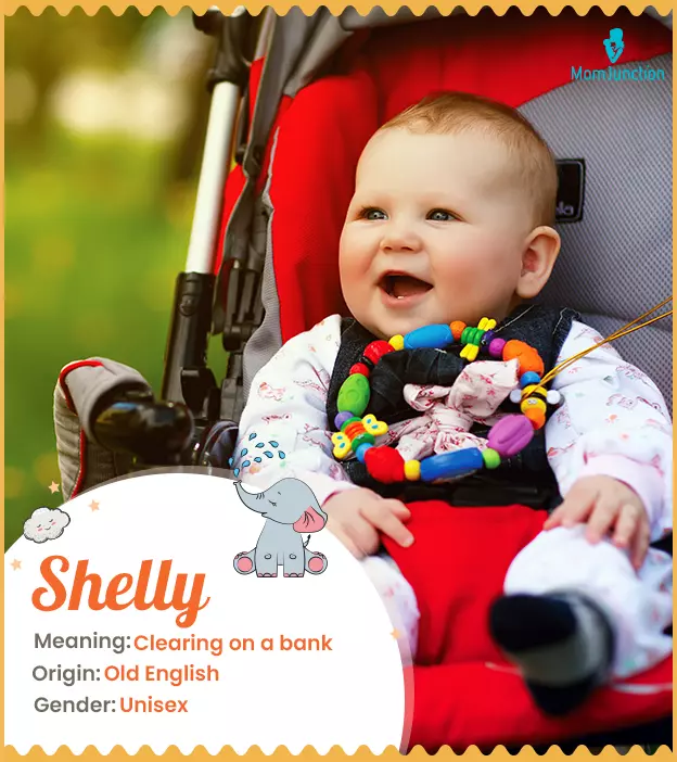 Shelly Name Meaning, Origin, History, And Popularity