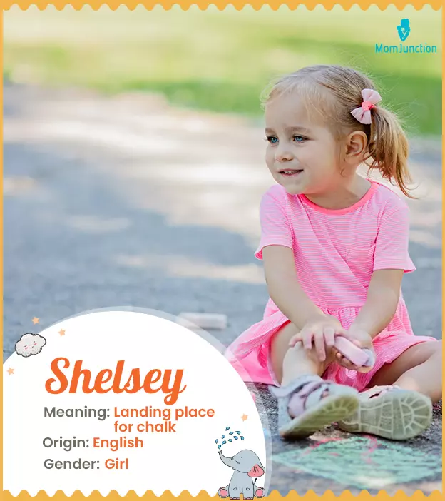Explore Shelsey: Meaning, Origin & Popularity