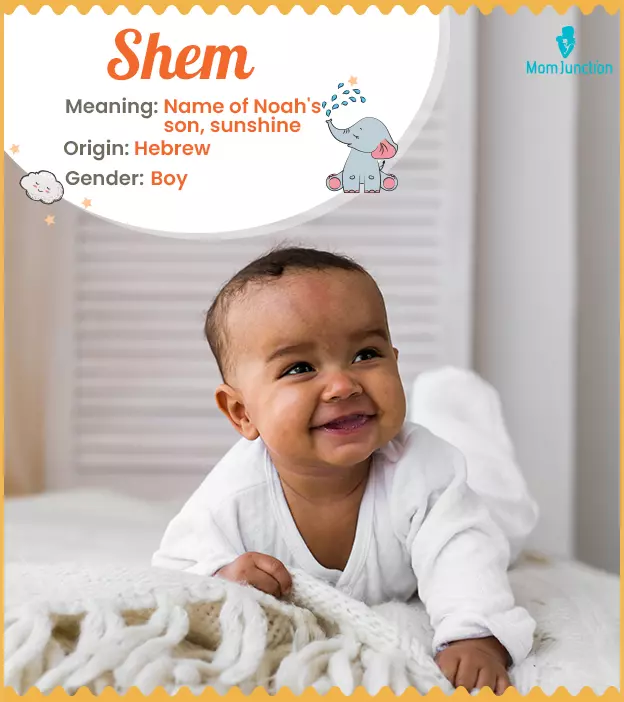 Shem Meaning, History, Origin And Popularity