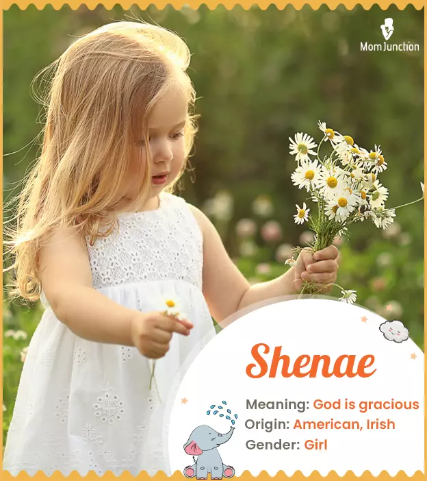 Explore Shenae Name Meaning And Origin: A Comprehensive Guide: Meaning ...