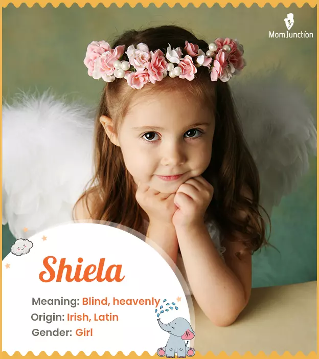 Shiela Name Meaning, Origin, History, And Popularity