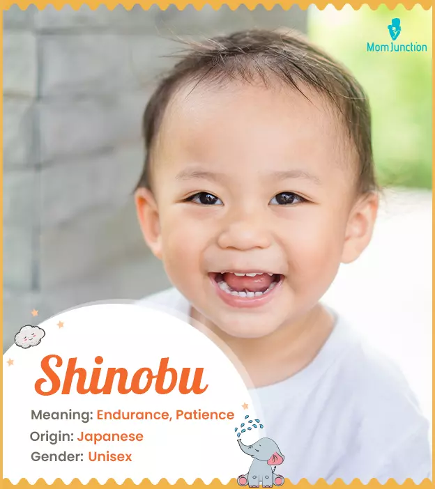 Shinobu Name Meaning, Origin, And History: Comprehensive Guide