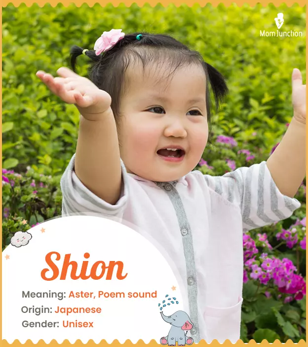 Shion Name Meaning, Origin, History, And Popularity
