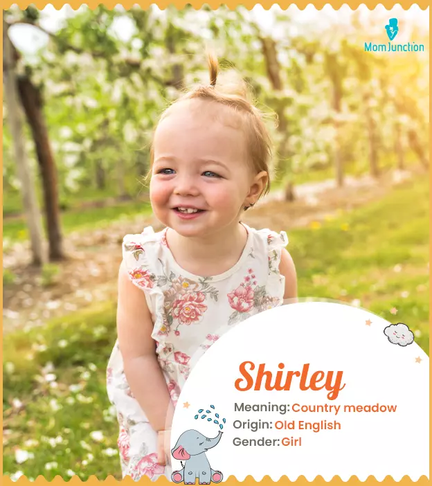 Shirley Name Meaning, Origin, History, And Popularity