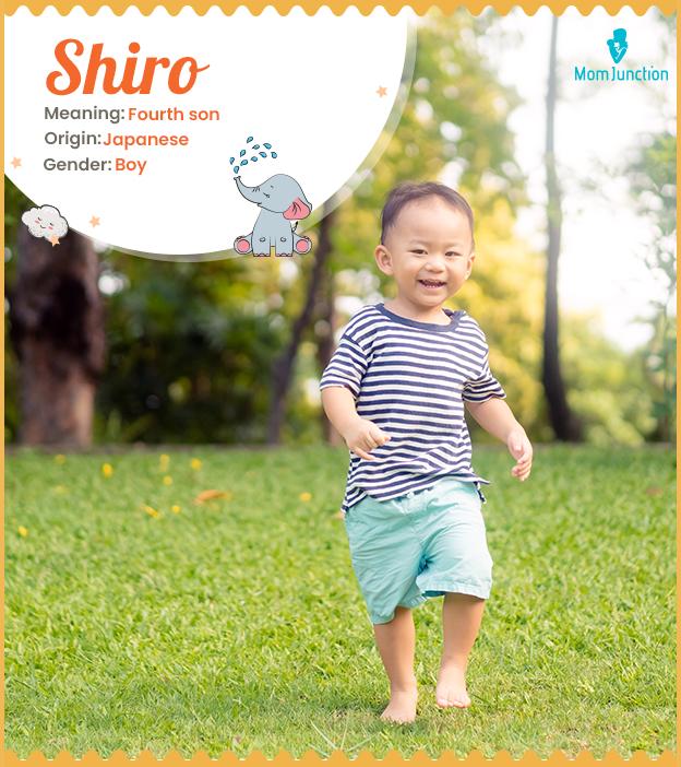 Shiro Name Meaning, Origin, History, And Popularity
