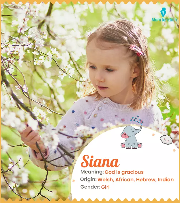 Explore Siana: Meaning, Origin & Popularity