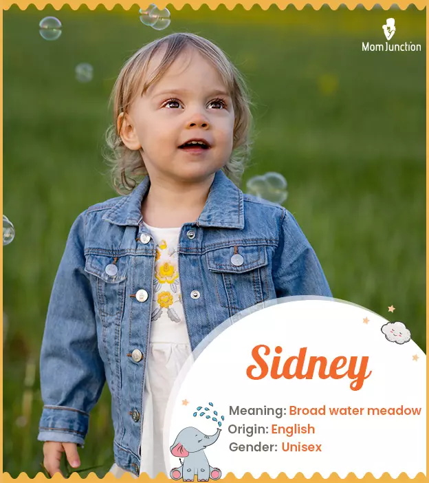 Sidney Name Meaning, Origin, History, And Popularity
