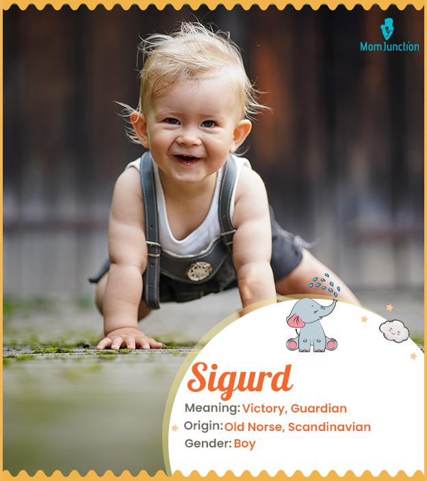 Sigurd Name Meaning, Origin, History, And Popularity