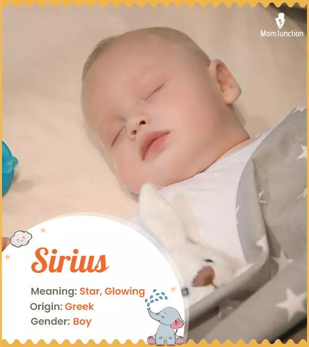 Sirius Name Meaning, Origin, History, And Popularity