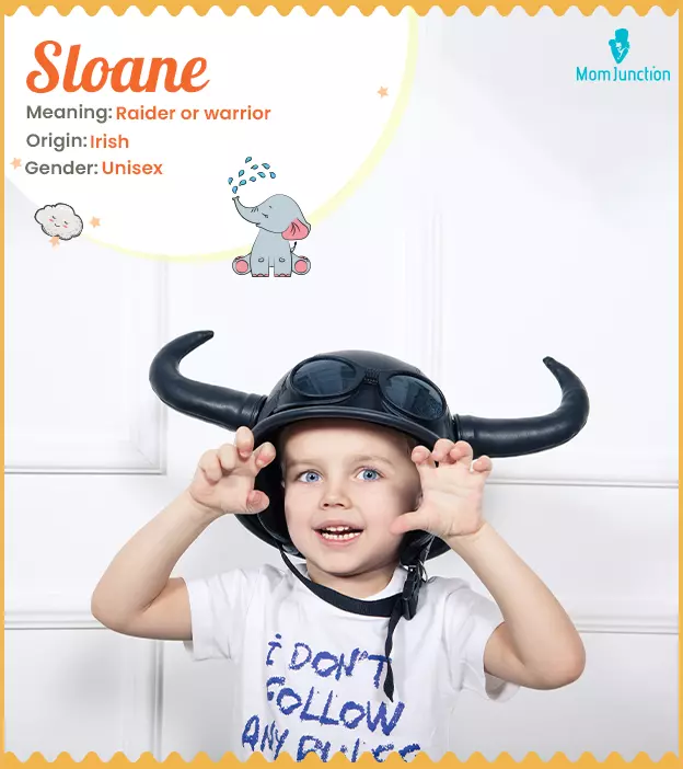 Sloane Name Meaning, History, Origin And Popularity