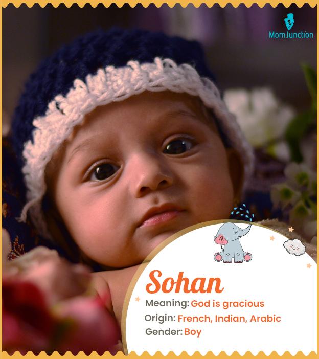 Sohan Name Meaning, Origin, History, And Popularity