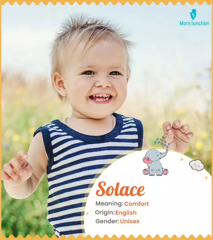 What does solace mean store