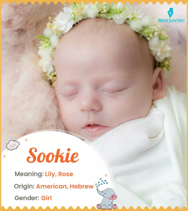 Explore Sookie Name Meaning: Complete Guide To Origin & Variations ...