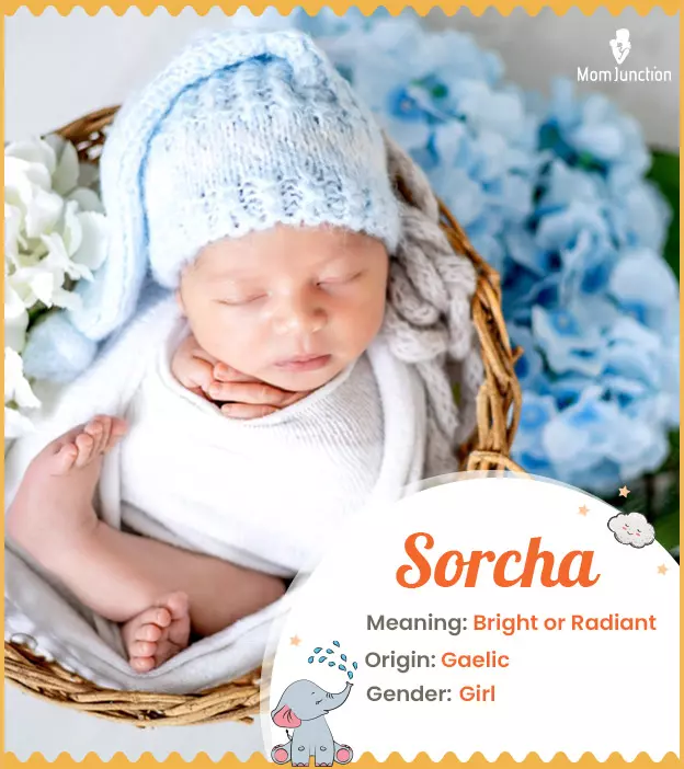 Sorcha Name Meaning, Origin, History, And Popularity