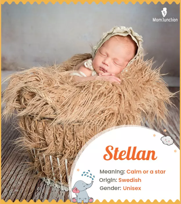Stellan Name Meaning, Origin, History, And Popularity