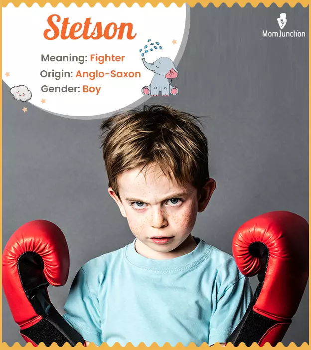 Stetson Name Meaning, Origin, History, And Popularity