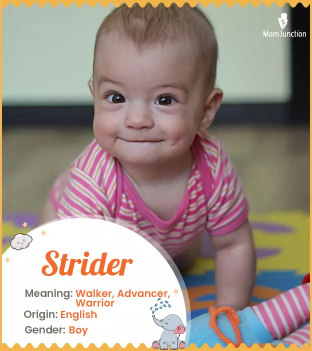 Strider Name Meaning, Origin, History, And Popularity