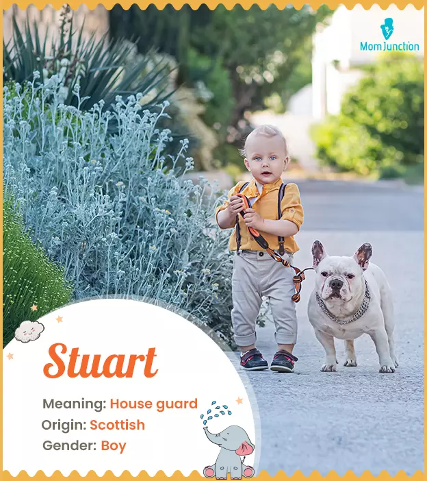 Stuart Name Meaning, Origin, And History: A Complete Guide