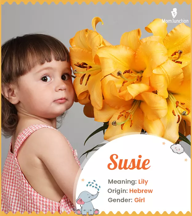 Explore Susie: Meaning, Origin & Popularity