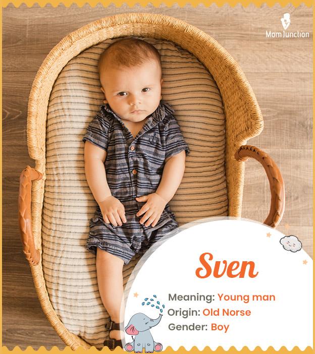 Sven Name Meaning, Origin, History, And Popularity
