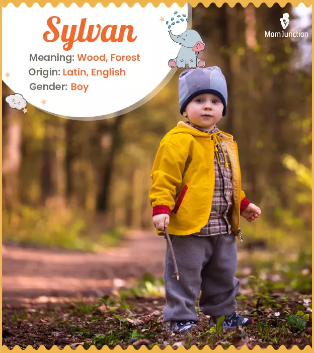 Explore Sylvan Name Meaning And Popularity: Complete Guide For 2025 ...