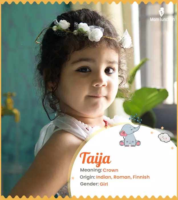 Explore Taija: Origin, Meaning, Popularity - Your Essential Guide ...