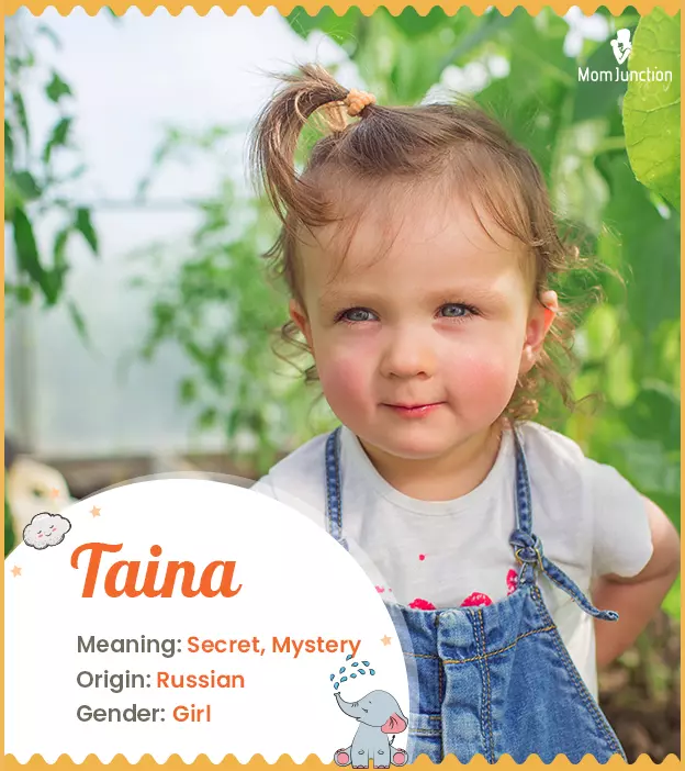 Taina Name Meaning, Origin, History, And Popularity