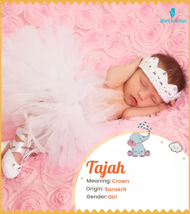 Explore Tajah Name Meaning, Origin, And History: A Comprehensive Guide ...