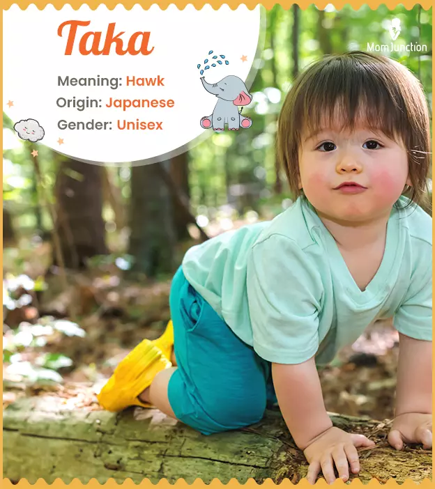 Taka Baby Name Meaning, Origin, And History: Complete Guide