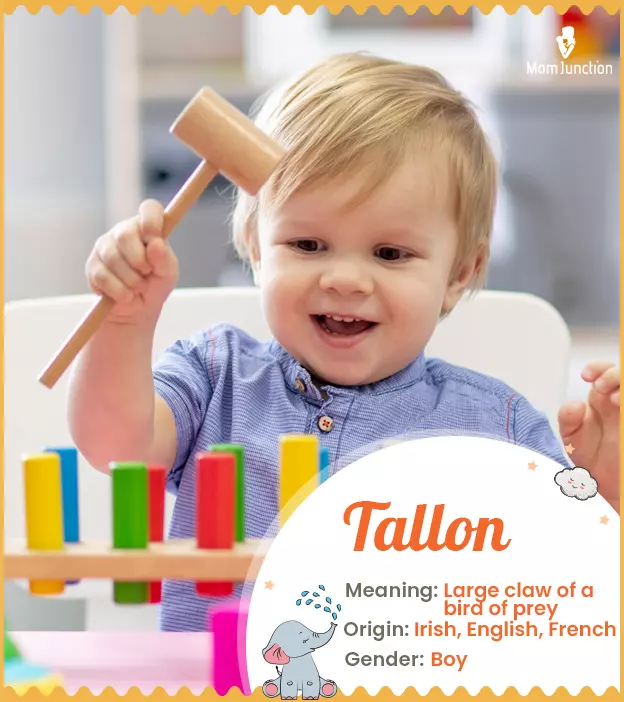 Explore Tallon: Meaning, Origin & Popularity