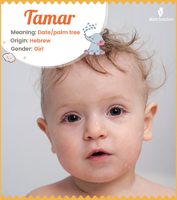 Tamar Name Meaning, Origin, History, and Popularity