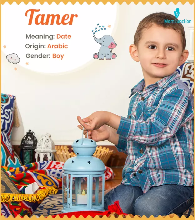 Explore Tamer: Meaning, Origin & Popularity