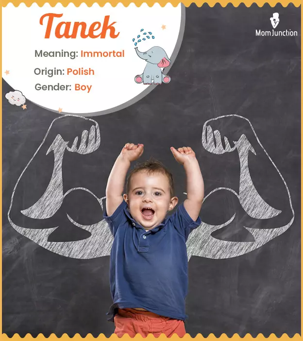Tanek Baby Name Meaning And Origin: A Comprehensive Guide