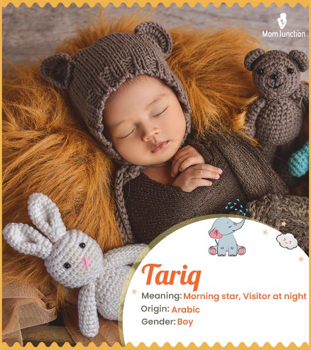Tariq Name Meaning, Origin, History, And Popularity