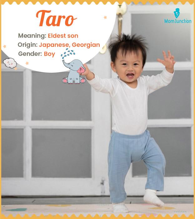 Taro Name, Meaning, Origin, History, And Popularity
