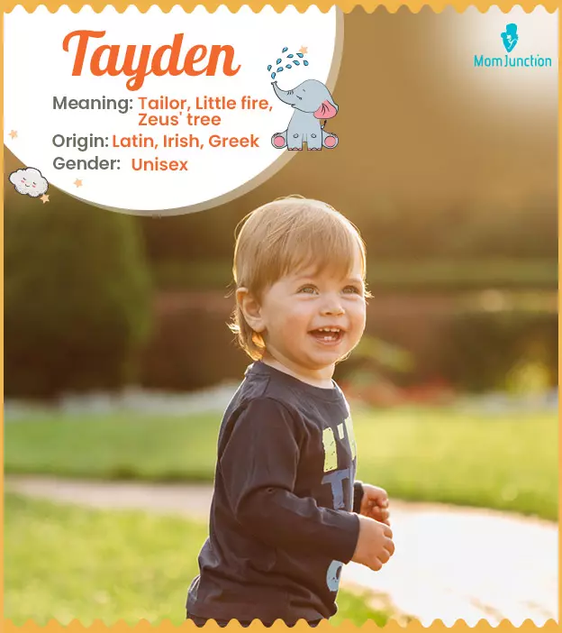 Explore Tayden Complete Guide To Meaning, Origins, And Nicknames ...