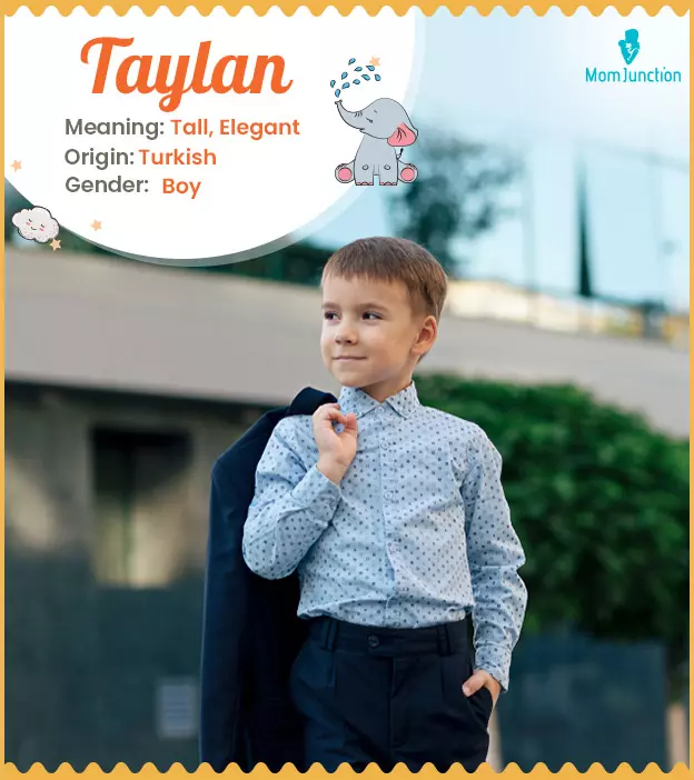 Explore Taylan: Meaning, Origin & Popularity