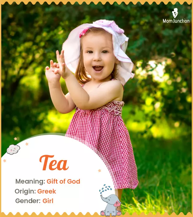 Explore Tea: Meaning, Origin & Popularity
